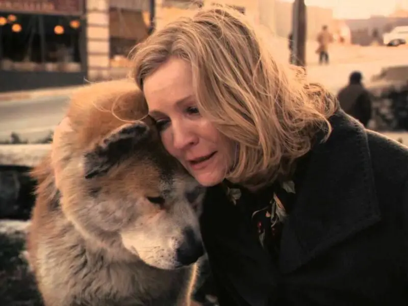 20 Best Dog Movies Of All Time – Flickside