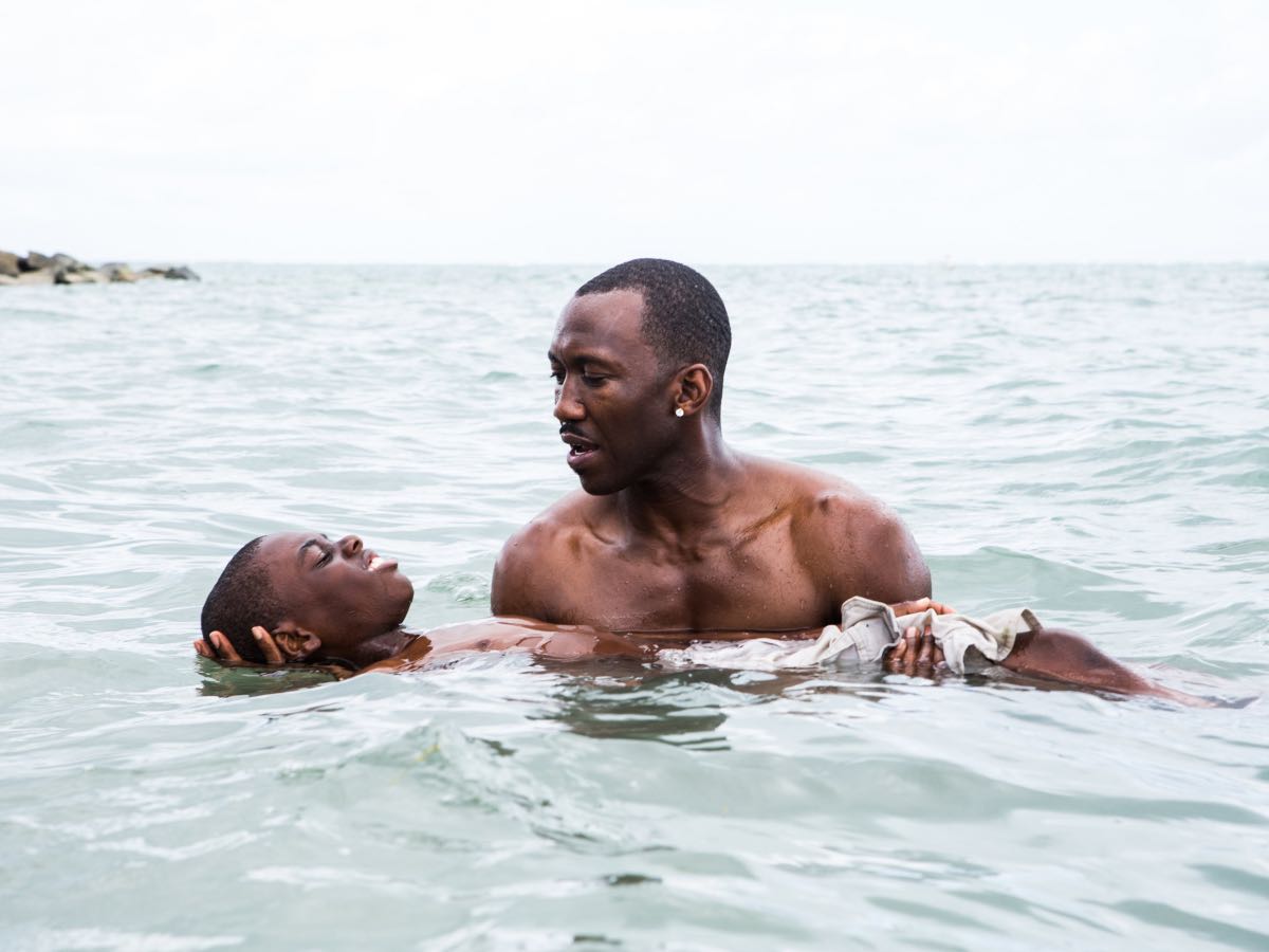Moonlight Cinematography Analysis | James Laxton – Flickside