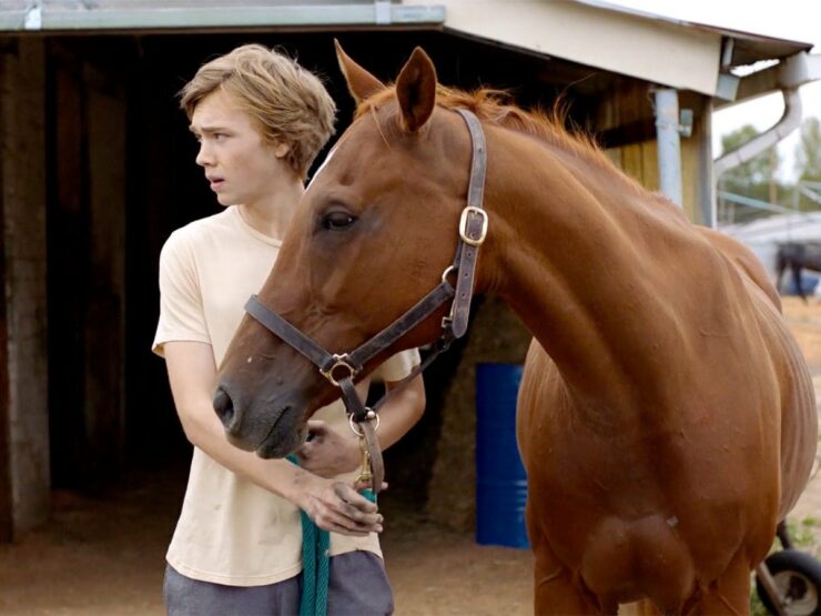 12 Best Horse Movies For Equestrian Fans – Flickside