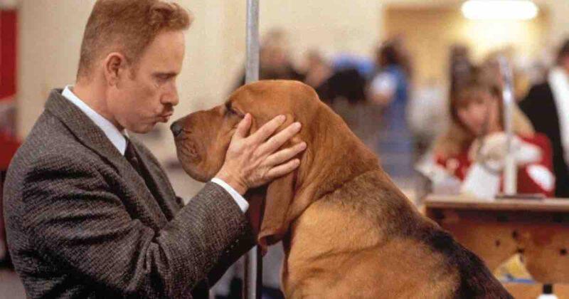 20 Best Dog Movies Of All Time – Flickside