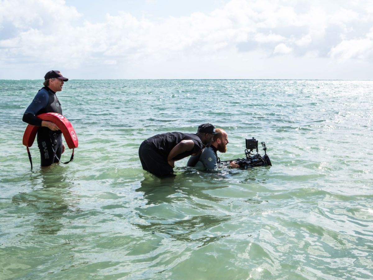 Camera Rigs Explained: 12 Types Of Rigs Used In Film & How They Work