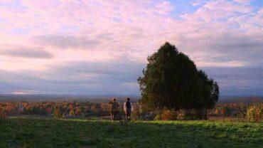 Art of Visual Storytelling: 11 Stunning Film Examples – Flickside